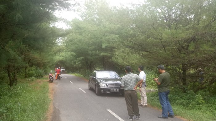 Jalan Hutan Cemara Jadi Alternatif Selfie Wisatawan - Tribunjogja.com