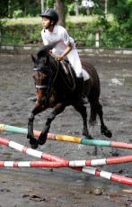 Kuda Ngamuk, Penunggang Kuda Terlempar - Tribunjogja.com