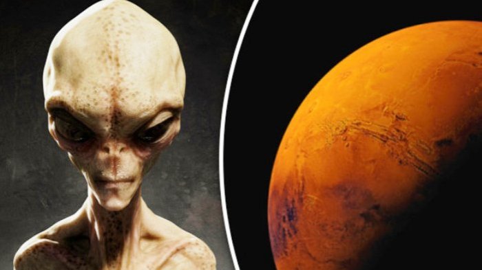 NASA dan ESA Bawa Tanah Mars ke Bumi untuk Selidiki Alien - Tribunjogja.com