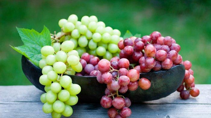 Sebagai Obat Penyakit Ginjal hingga Penurun Kolesterol, Ini Khasiat ...