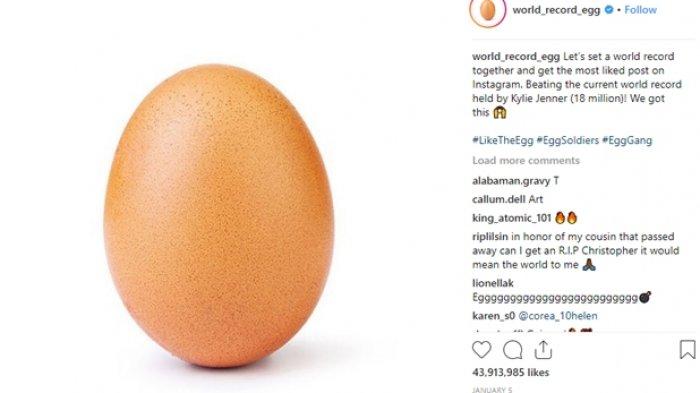 Viral, Foto Sebutir Telur Ini Disukai hingga Lebih dari 48 Juta ...