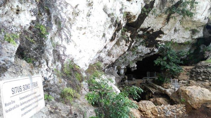 Berkunjung ke Song Terus, Rumah Sang Australomelanesid di Pacitan ...