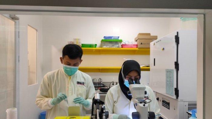 Masuk Daftar Nature's 10 2020, Prof Adi Utarini: Apresiasi untuk ...