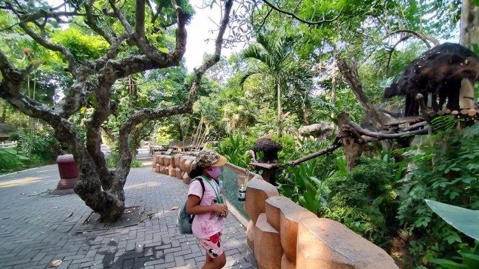 Gembira Loka Zoo Rencanakan Uji Coba Pembukaan Destinasi Wisata, Ini ...