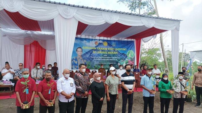 Tanam Kopi di Merapi, Sri Sultan: Sultan Ground Bisa Dimanfaatkan Tapi ...