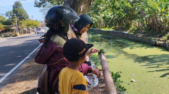 Aktivis Lingkungan dan DLH Kabupaten Bantul Menanggapi Air Sungai ...