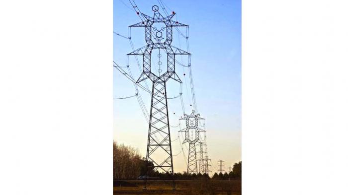 Keren! Sutet-sutet Ini Bentuknya Imut-imut - Tribunjogja.com