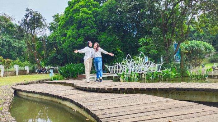 Wajah Baru Taman Akuatik Kebun Raya Bogor yang Menjadi Daya Tarik ...