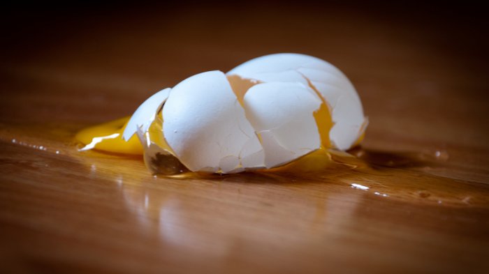 Jangan Sampai Tertipu, Seperti Ini Cara Mengenali Telur Busuk ...