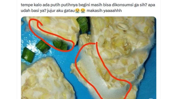 Viral Medsos, Ada ‘Putih-putih’ di Pinggiran Tempe, Apa Benar Itu ...