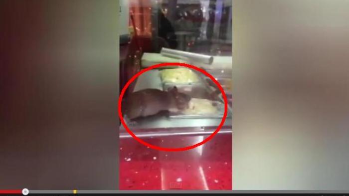 Menjijikkan! Tikus Terekam Makan Hidangan untuk Pengunjung Restoran ...