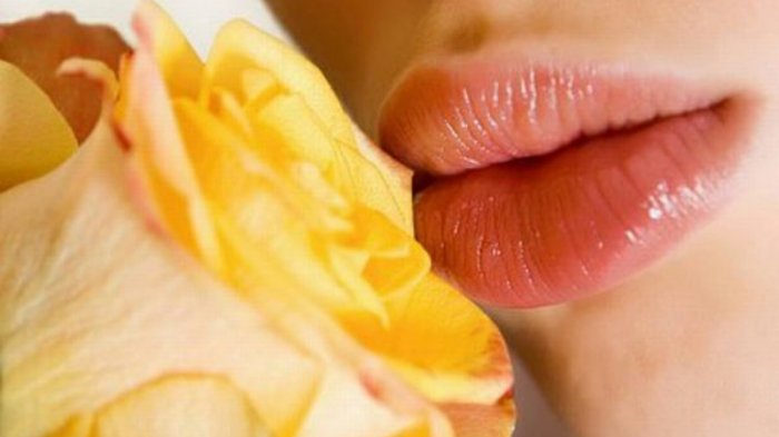 Tips Membuat Bibir Kusam Menjadi Merah Merona Kembali - Tribunjogja.com