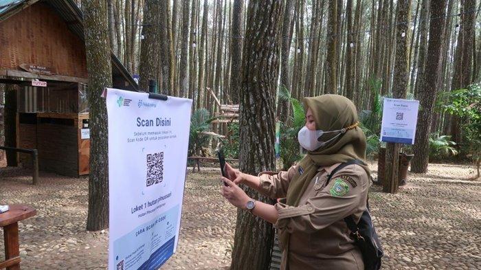 Uji Coba Wisata di Pinus Sari Bantul Terkendala Akses Sinyal untuk ...