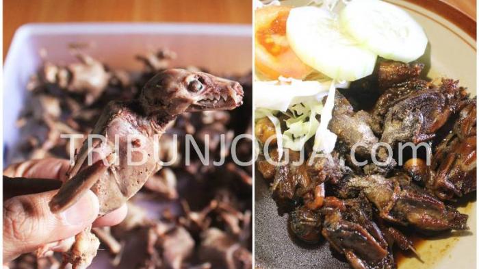Kuliner Extreme Tongseng Emprit dan Codot Bantul - Tribunjogja.com