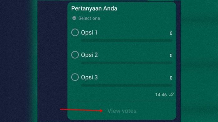 Menyusul Line dan Telegram, Kini Fitur Polling atau Voting ada di ...