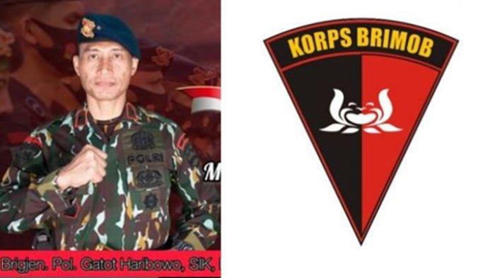 Kehebatan Brigjen Gatot Haribowo, Kapolda Papua Barat Daya Hasil Mutasi ...