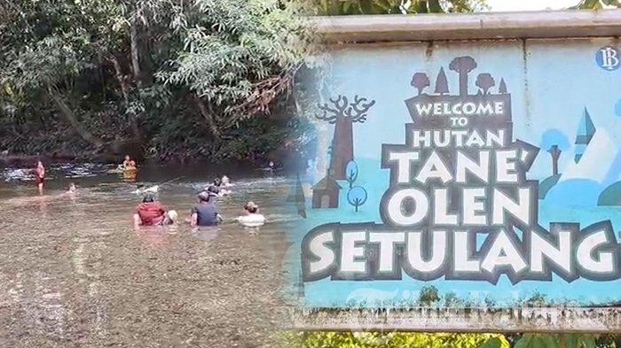 Kreativitas Pengelola Wisata Tane Olen Malinau, Tambah Daya Tarik ...