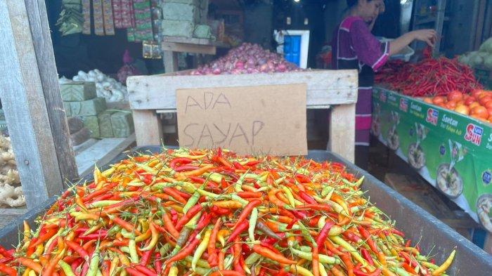 Harga Cabai Lokal di Nunukan Naik jadi Rp100.000 per Kg, Disdag: Kapal dari Sulsel Hanya Satu ...