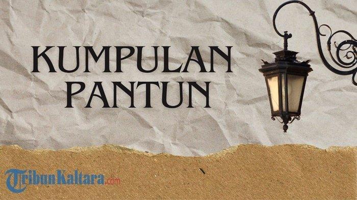 55 Pantun Ikan Hiu, Rayuan Kocak tapi Romantis buat Luluhkan Hati ...