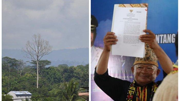 Kantongi SK, 24,8 Ribu Hektare Kawasan MHA Dayak Tenggalan di Desa ...