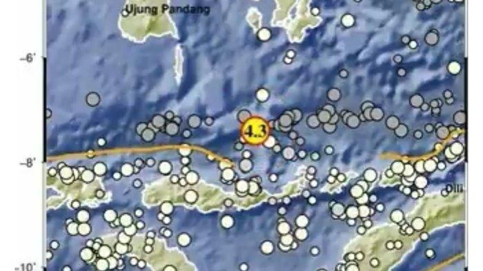 Gempa Terkini di Indonesia, Gempa Bumi M 4.3 di Barat Laut Maumere Nusa Tenggara Timur, Kata ...