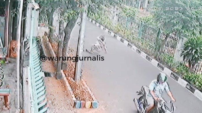 Viral Rekaman CCTV Emak-emak di Jakarta Jatuh ke Tengah Jalan, Usai Jadi Korban Penjambretan ...