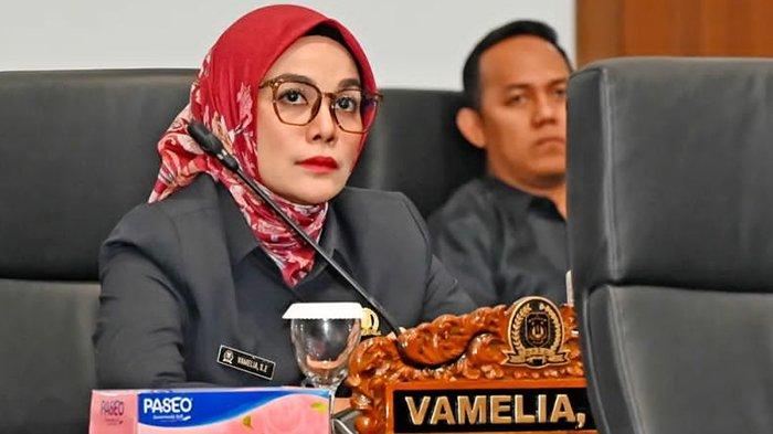 Anggota DPRD Kaltara, Vamelia Beri Atensi Isu Kesetaraan Gender - Tribunkaltara.com
