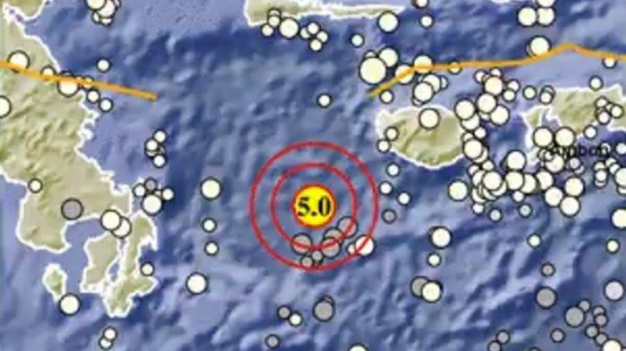 BMKG: Gempa Terkini di Timur Laut Wakatobi Sulawesi Tenggara, Magnitudo 5.0, tak Berpotensi ...