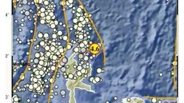 Gempa Terkini di Indonesia, BMKG: Gempa Bumi Getarkan Timur Laut Daruba Maluku Utara, Cek ...