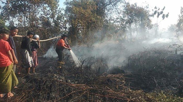 BPBD PPU Imbau Masyarakat Waspada Karhutla, Kemarau Diperkirakan Januari atau Februari 2025 ...