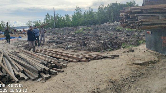 Buntut Penebangan Mangrove di Sebatik Barat, KPH Nunukan Amankan ...