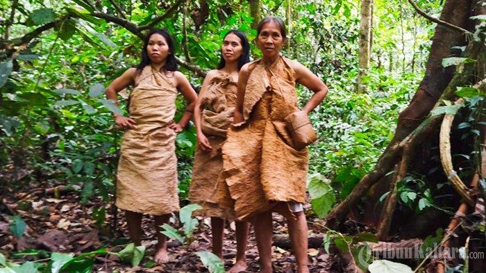 Mengenal Kehidupan Suku Punan Batu di Bulungan Kalimantan Utara, Penerima Kalpataru 2024 ...
