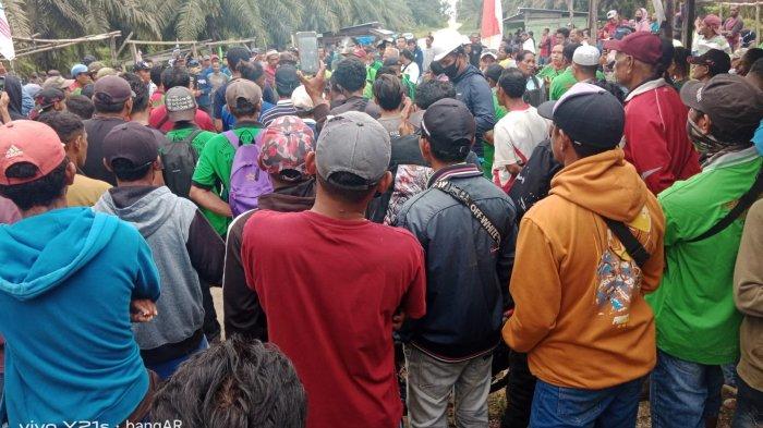 Upah tak Sesuai UMK, Ribuan Buruh Sawit PT SIL-SIP di Desa Sebakis Demo ...