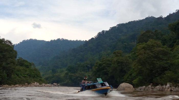 Singgung Dampak Pembangunan PLTA Kayan di Bulungan, Walhi Kaltim ...