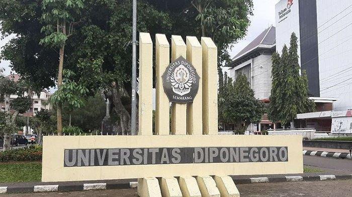 Penerimaan Calon Dosen Undip Semarang, Berikut Persyaratan, Tahapan dan ...