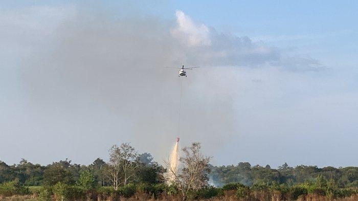 Titik Api Baru di Kawasan Rawa Telawang Kalampangan, Helikopter Water Bombing Siram 4.000 Liter ...