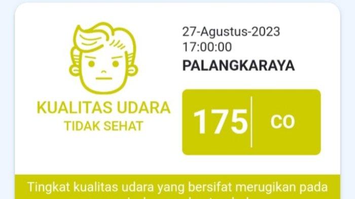 Karhutla Marak Parameter Kritis CO Meningkat, ISPU Deteksi Kualitas ...