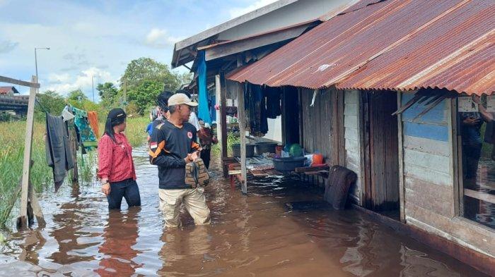 Pemko Tetapkan Palangkaraya Status Tanggap Darurat Banjir, 8,544 Jiwa Terdampak 4 Kecamatan ...