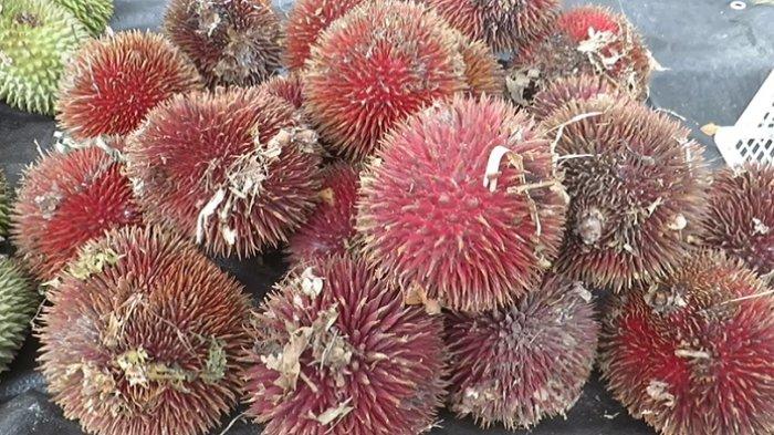 Mengenal Buah Layung Khas Dayak Kalteng, Memiliki Cita Rasa Manis ...