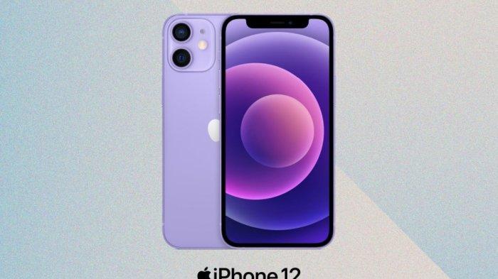 Promo iPhone 12 Resmi Ibox Turun Harga Jelang Tahun Baru 2025, Cek Juga Harga iPhone 14 - iPhone ...