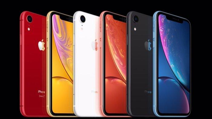 6 HP iPhone Layak Pakai di Tahun 2024, Ada iPhone XR, iPhone 15, iPhone 11 Murah Mulai Rp 6 ...