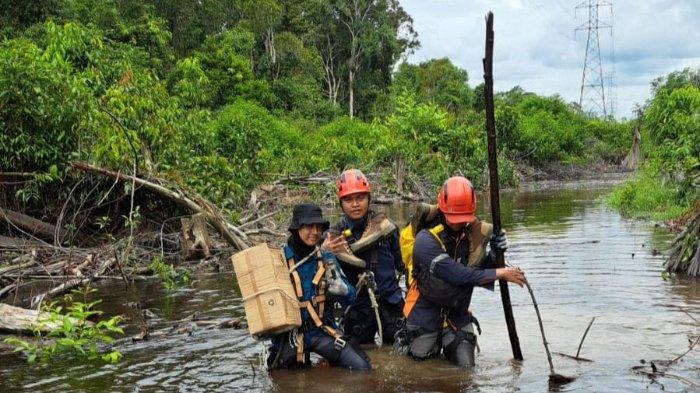 PLN Icon Plus Gerak Cepat Tangani Gangguan Putus Kabel di Tower ...