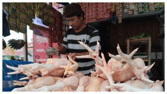 Cek Harga Daging Ayam Broiler, Ayam Kampung hingga Sapi 10 Hari jelang Lebaran Idulfitri ...