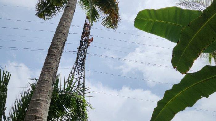 Gerak Cepat PLN Tangani Gangguan Isolator Putus di Jaringan Transmisi ...