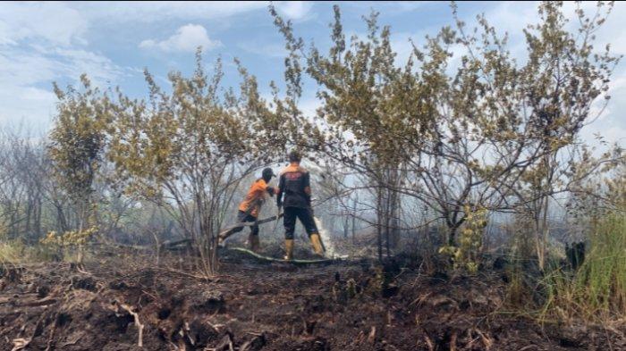 Tahun 2023, Ditreskrimsus Polda Kalteng dan Polres Jajaran, Tetapkan 12 Tersangka Pembakaran ...