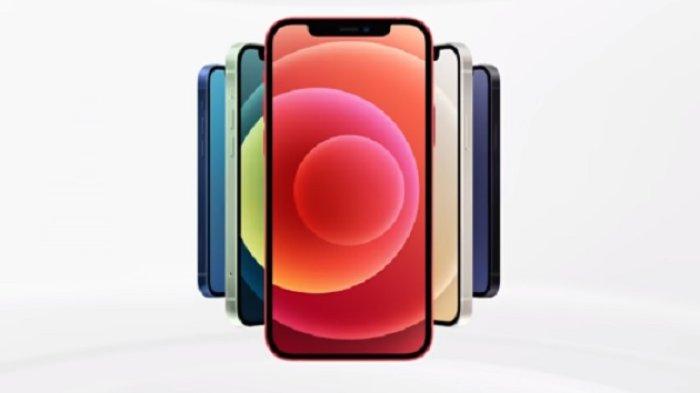 Update Harga iPhone 12 di iBox Awal Agustus 2024, Cek Juga iPhone 13, iPhone 14, iPhone 15 Pro ...