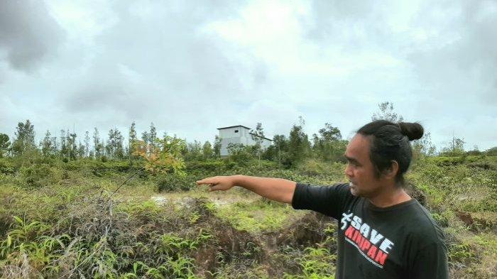 Tambang Ilegal, Kebakaran dan Pembukaan Kebun Sawit, Jadi Ancaman Kelestarian Hutan Jerumbun ...
