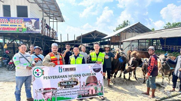 Alam Karya Gemilang, Kaltim Diamond Coal dan Bupolo Indonesia Serahkan ...