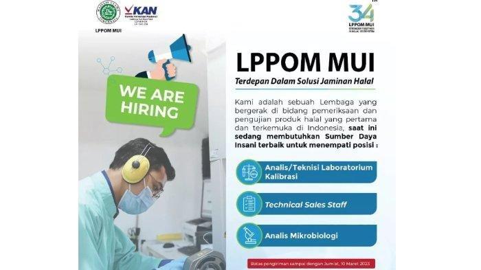 LPPOM MUI Membutuhkan Lulusan SMK dan D3, Dibuka 3 Posisi, Batas ...