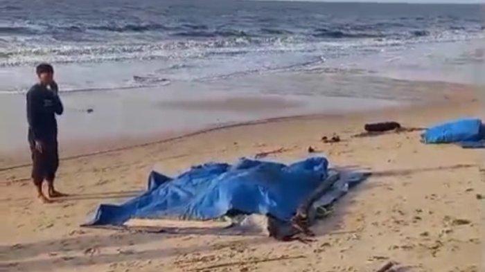 Jasad Pemancing Jakarta Tenggelam Ditemukan Terdampar di Pantai Ujung Pandaran Kotim Kalteng ...